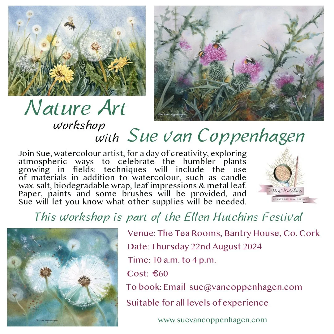 Nature art workshop in Bantry — Sue van Coppenhagen