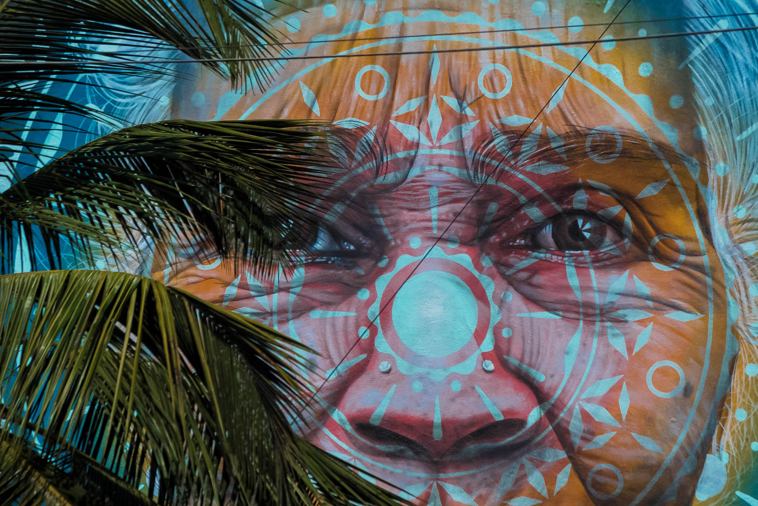 Details-Artists We Work With — XXL Collective