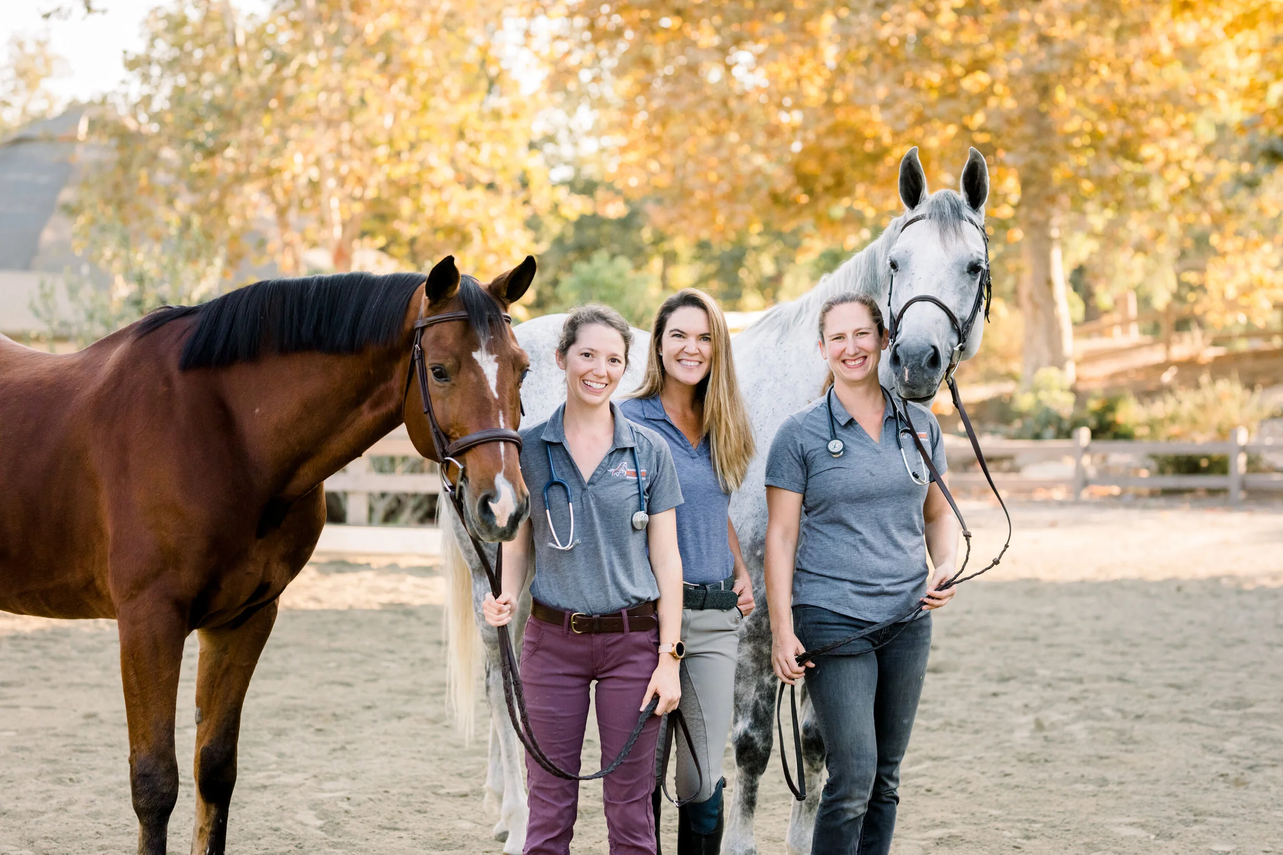 Orange County Equine