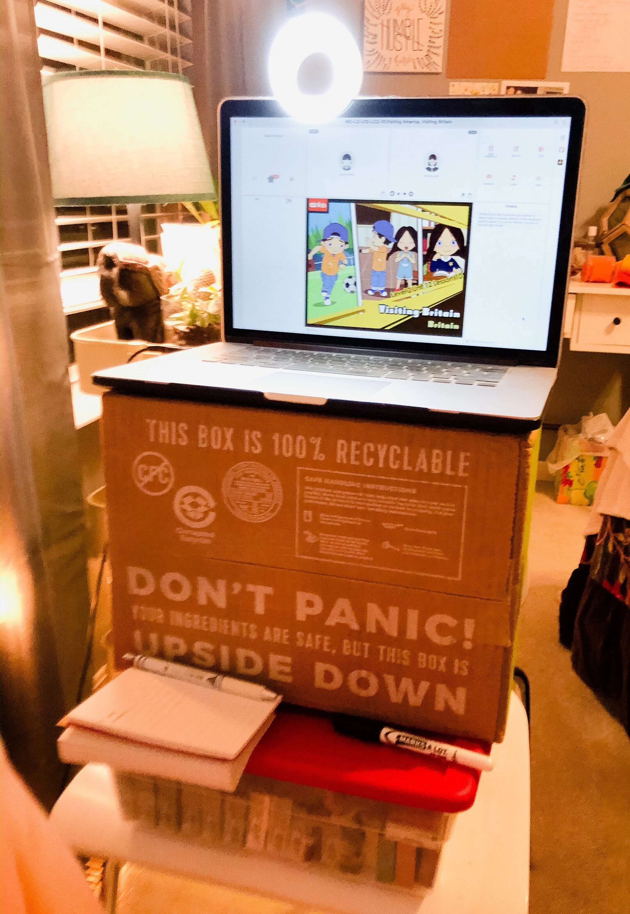 My VIPKid ESL Teaching Journey — Brittany Ungermann