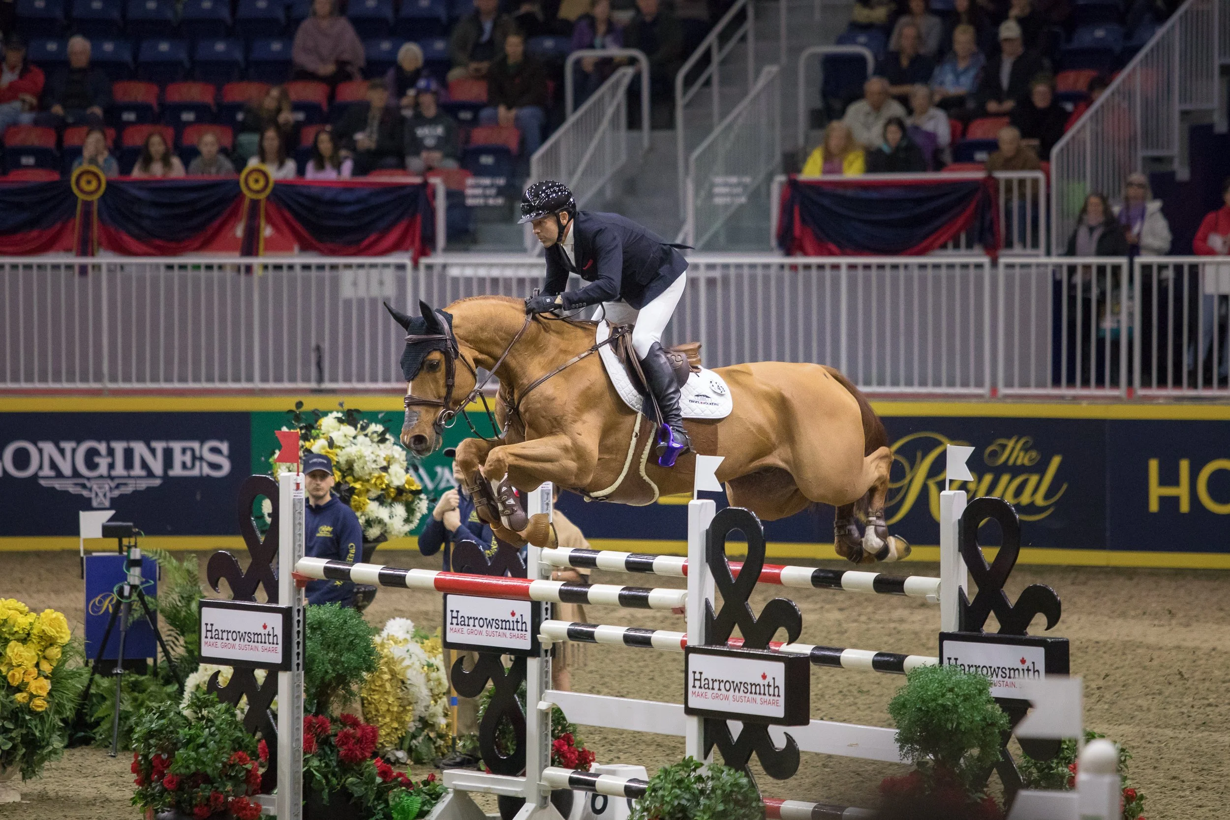 Equestrian — LAUREL JARVIS