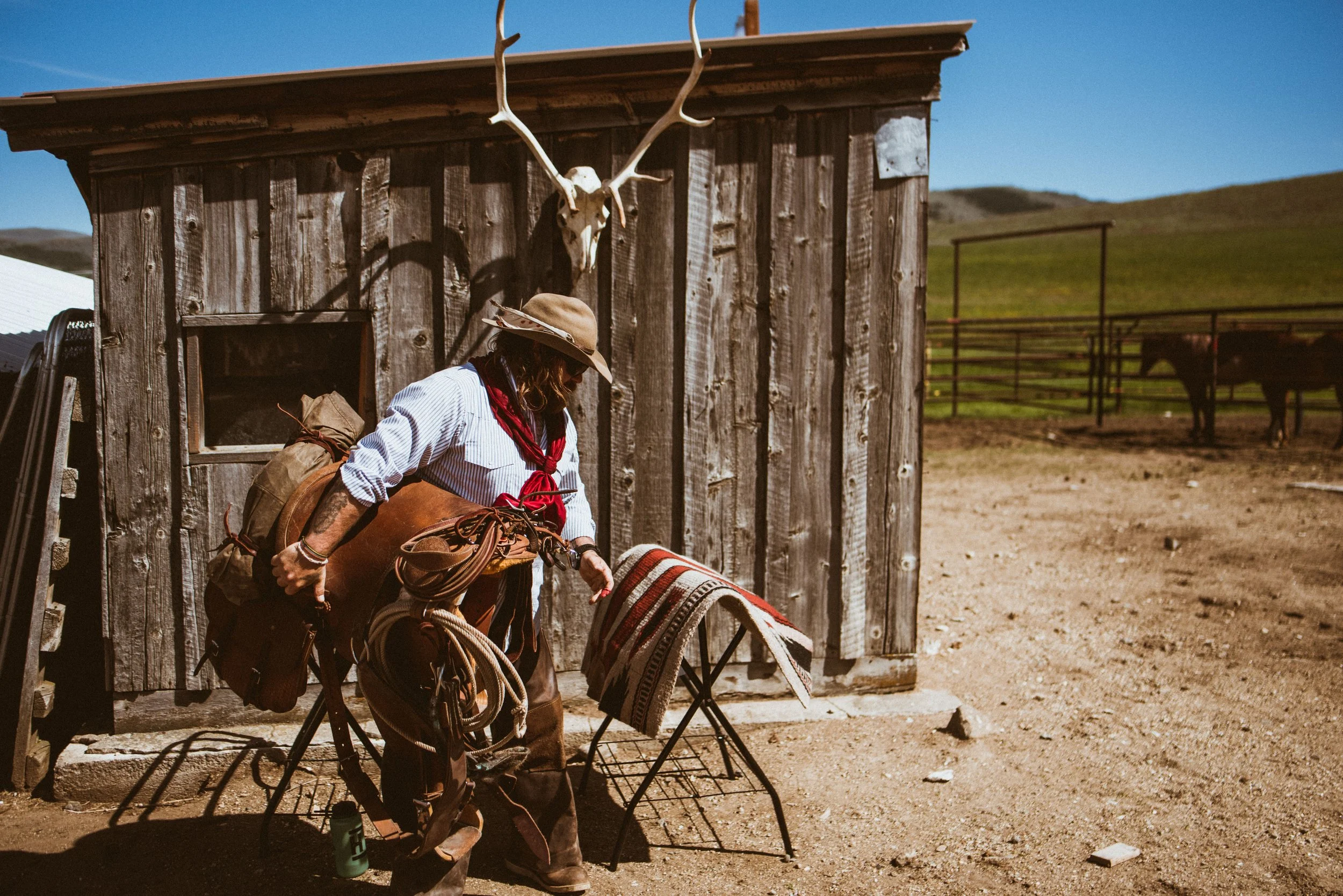 Support the Herd — Heroes and Horses