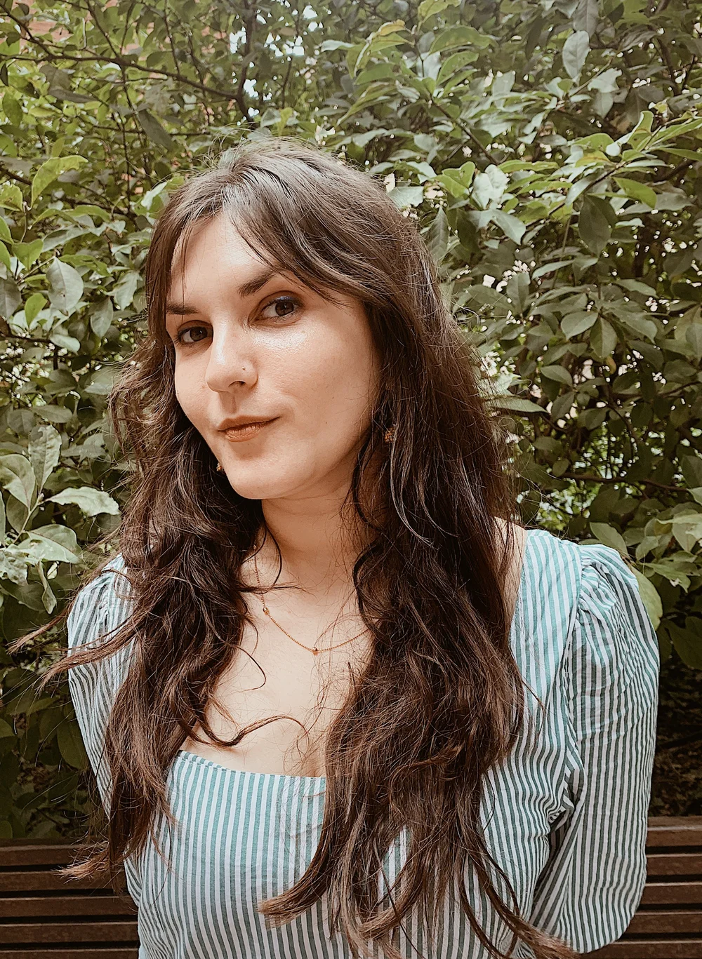 Team — Peace Museum Vienna