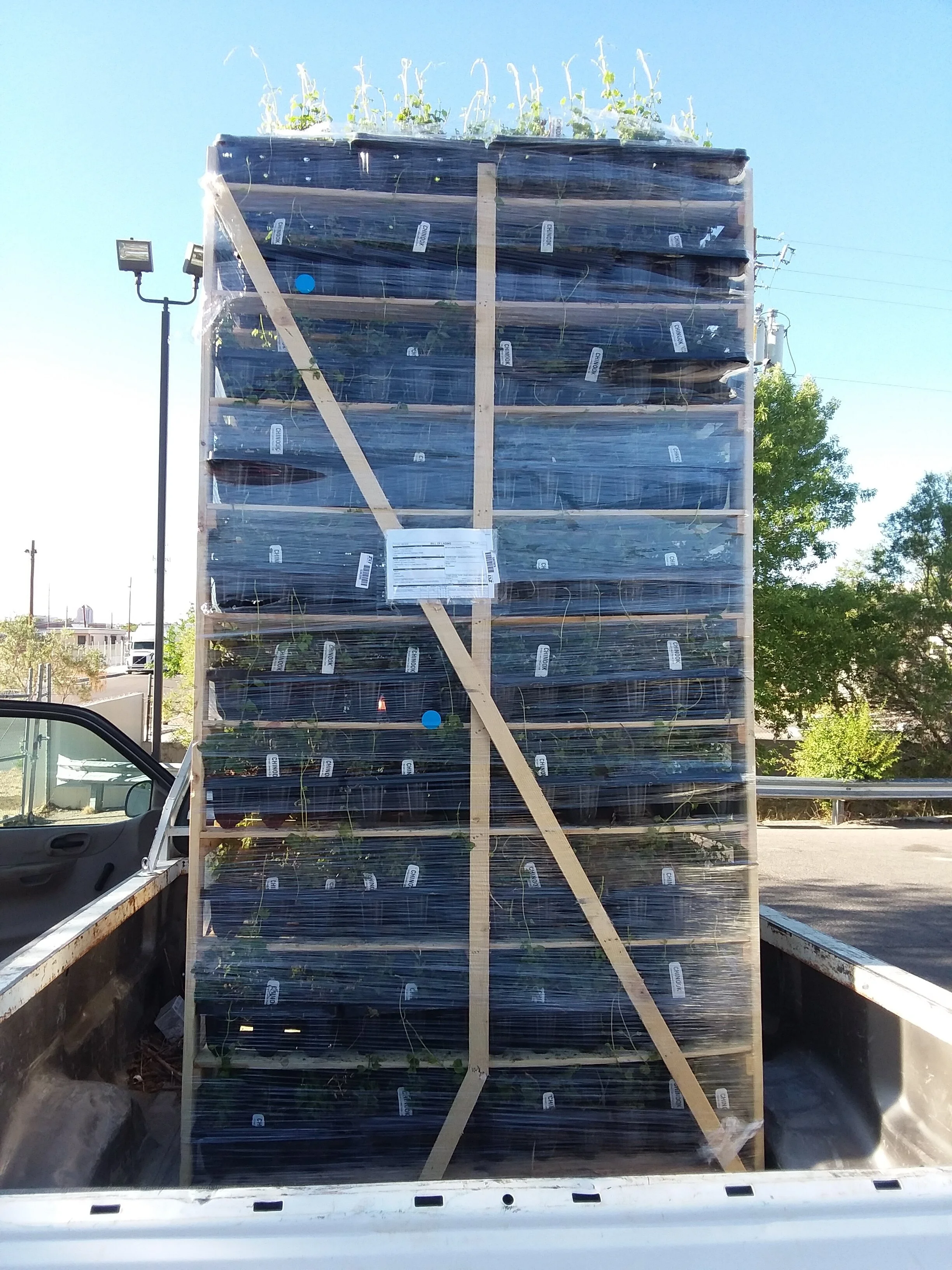 New Mexico Hop Farm — La Capilla Hops Farm