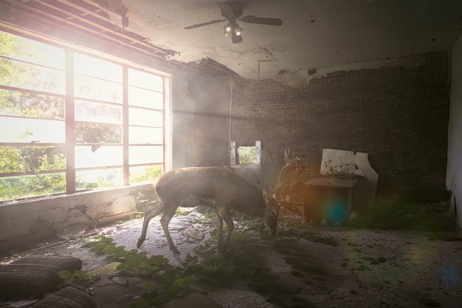 The Art of Visual Storytelling: How Style Impacts Your Photography