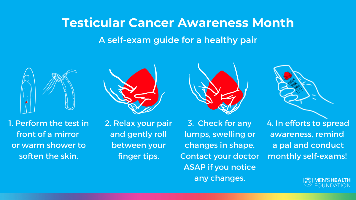 Testicular Cancer Self-Exam Guide — Men's Health Foundation