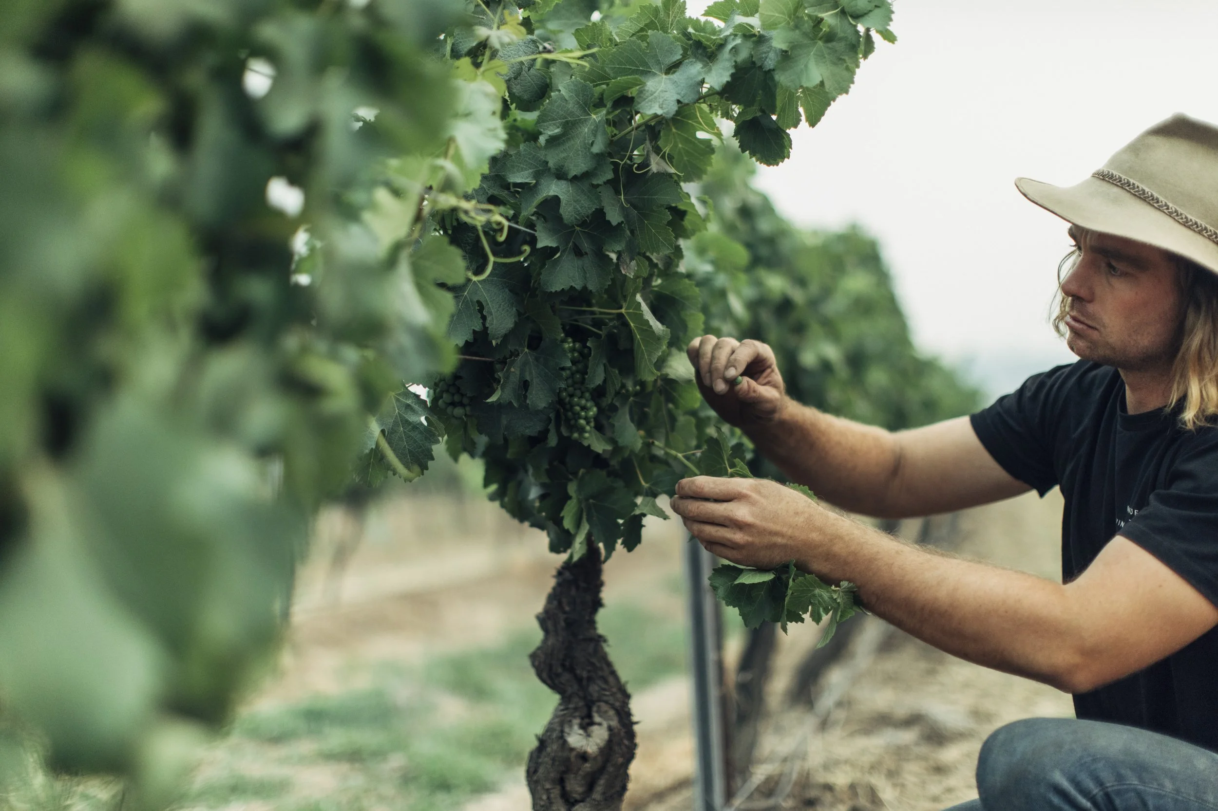 Vinden Wines Cellar Door & Award-winning accommodation