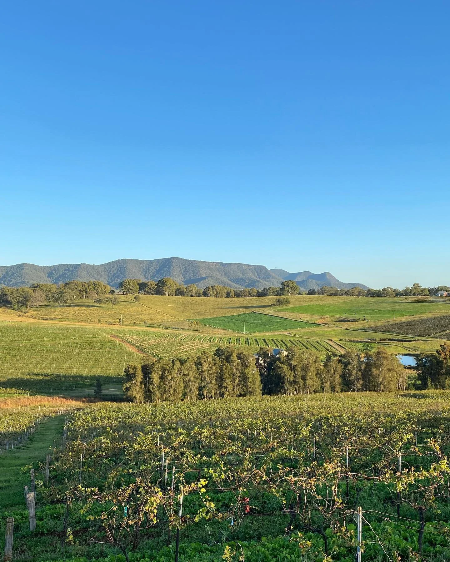 Vinden Wines Cellar Door & Award-winning accommodation