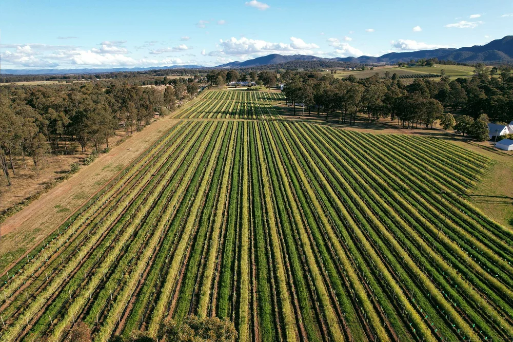 Vinden Wines | Family-owned vineyards, Pokolbin Hunter Valley — Vinden ...