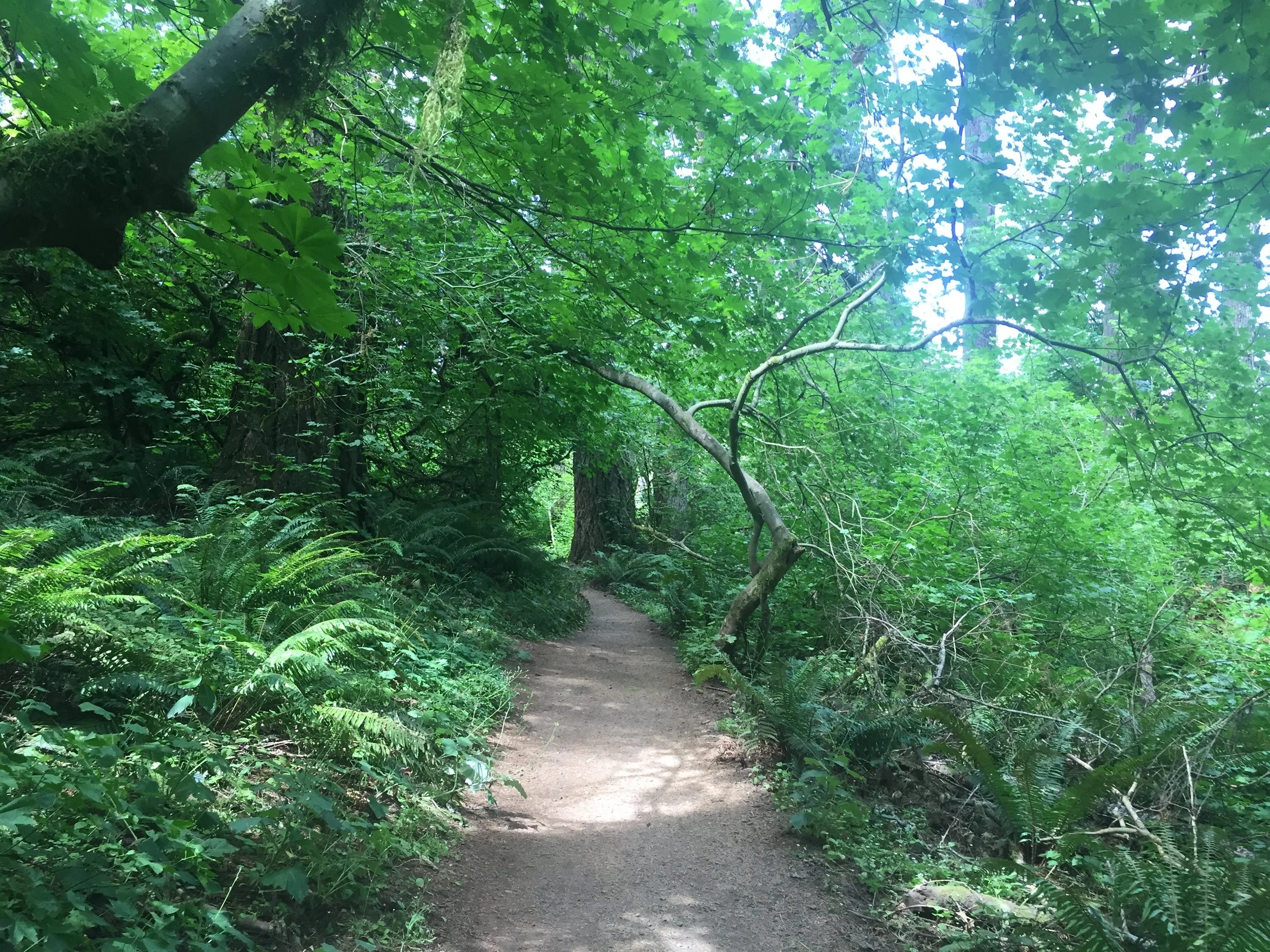 Lab Culture — the Miller Lab