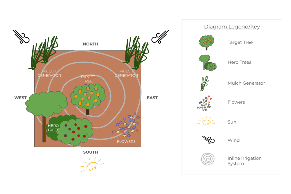 Workshop: Mini Food Forest | Orchard of Flavours