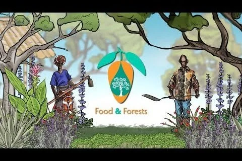 Interesting Agroecology Projects | Orchard of Flavours