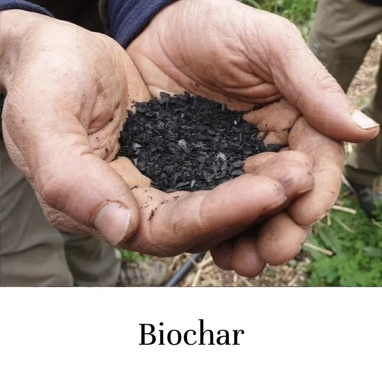 How-to: Deep irrigation for clay soils | Orchard of Flavours