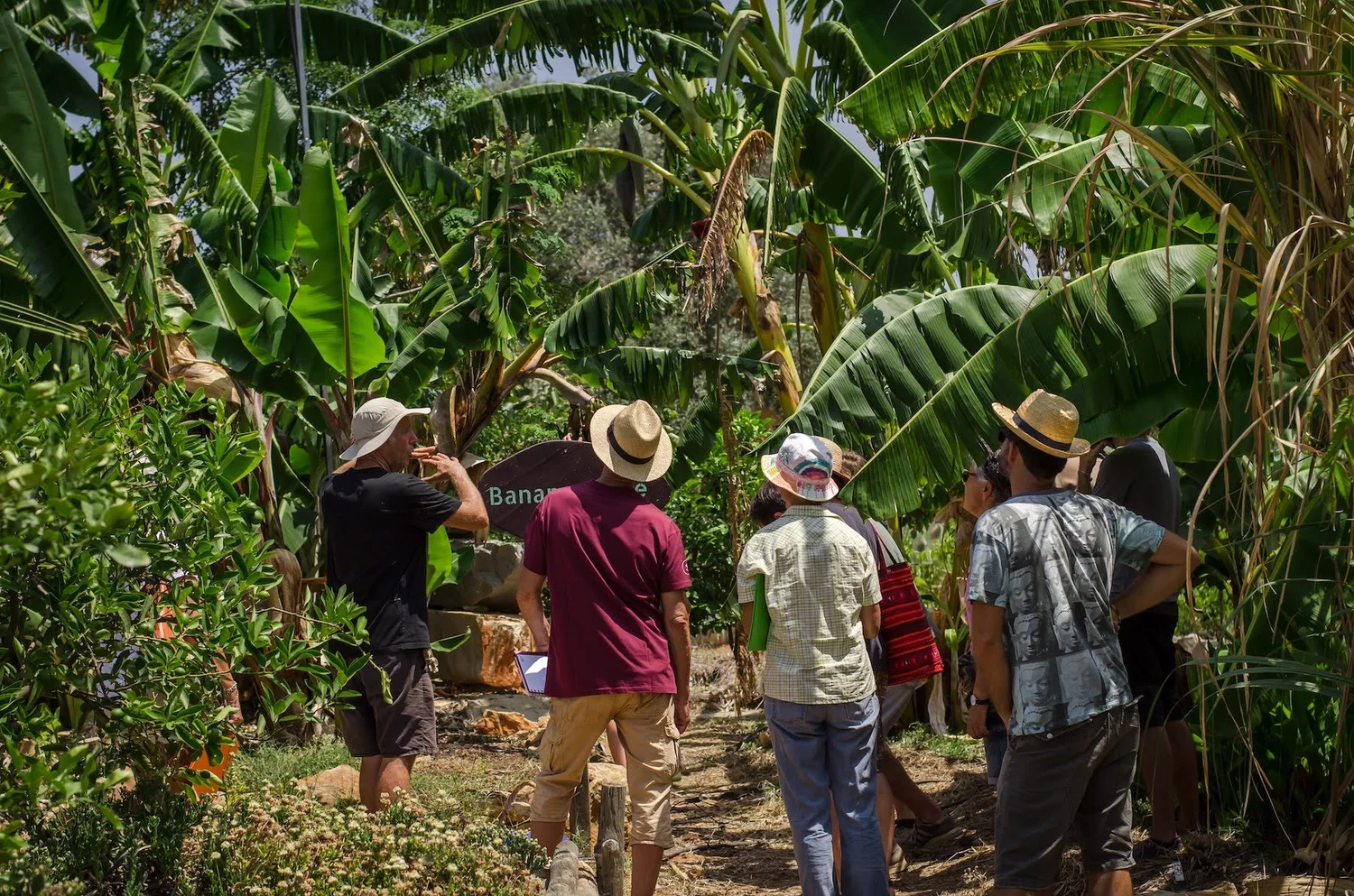Visit the Botanical Garden | Orchard of Flavours