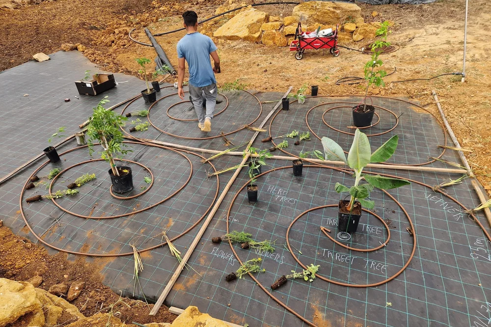 Workshop: Mini Food Forest | Orchard of Flavours