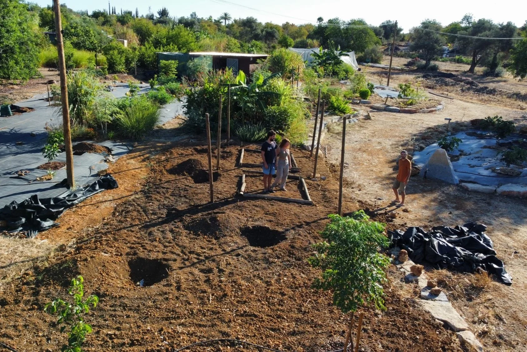 Workshop: Mini Food Forest | Orchard of Flavours