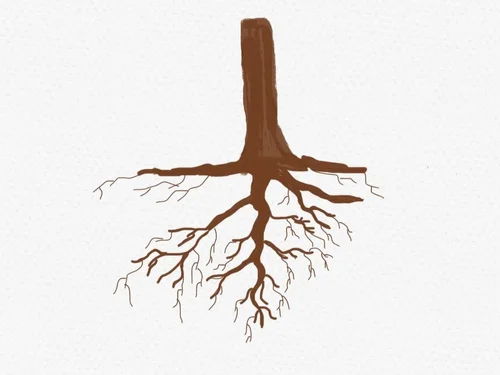 Root Systems of Fruit Trees | Research | Orchard of Flavours