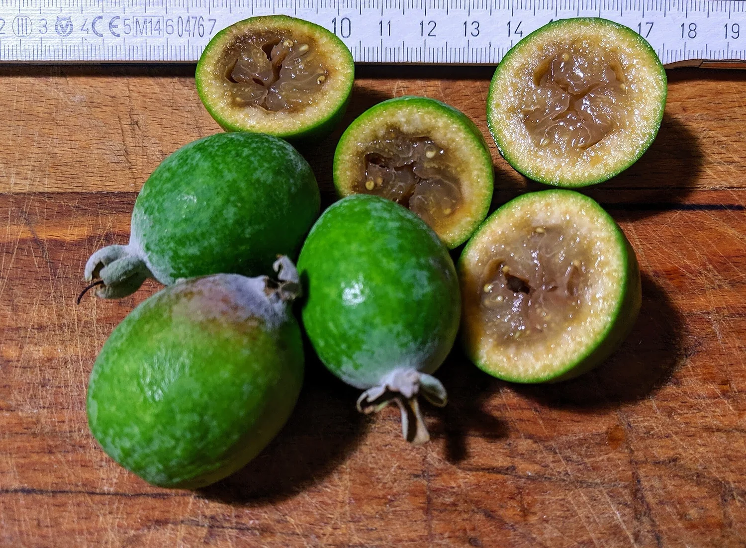 Unusual Fruit Tree Names | Orchard of Flavours