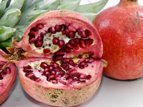 Fruit Trees from the Middle East | Orchard of Flavours