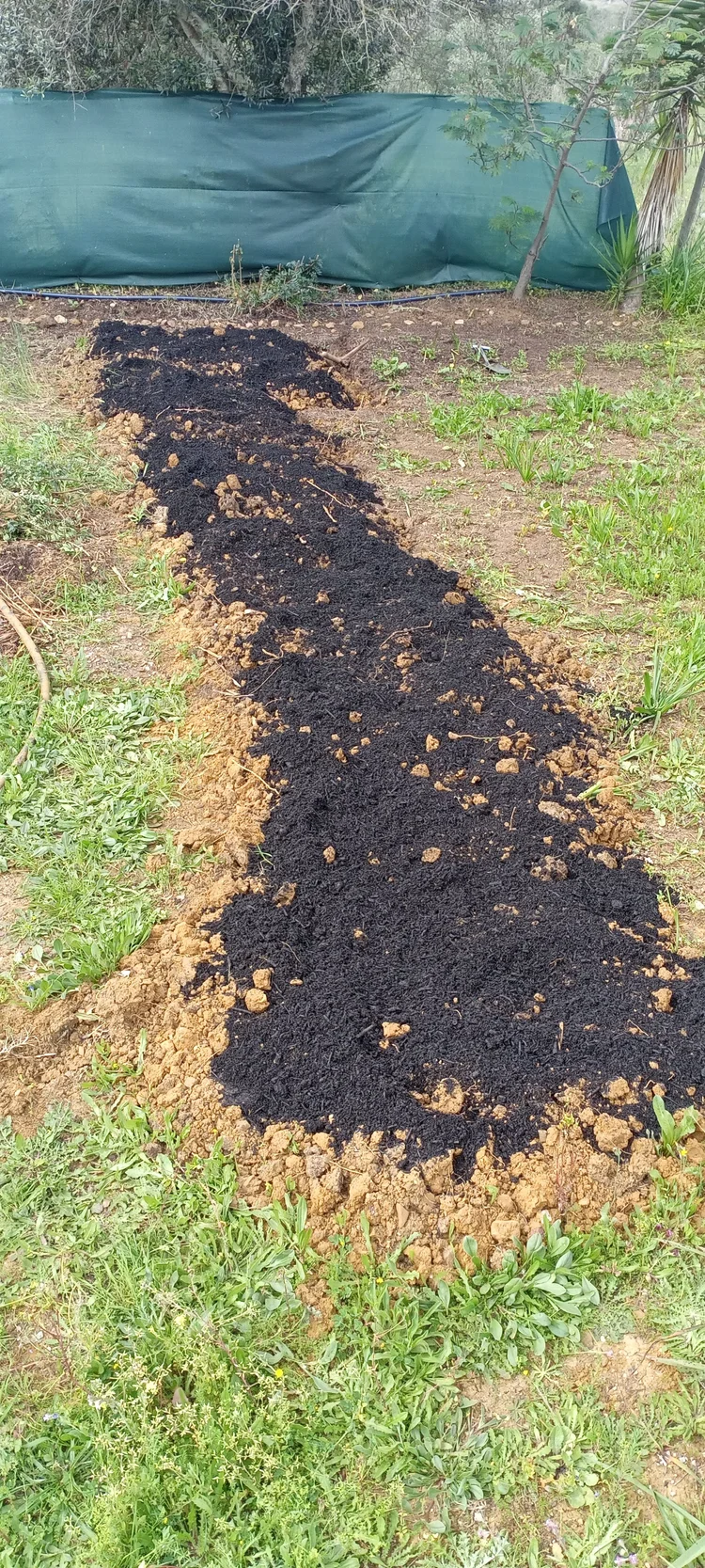 Workshop: Biochar | Orchard of Flavours