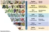 Fruit Trees & Botanical Names | Orchard of Flavours