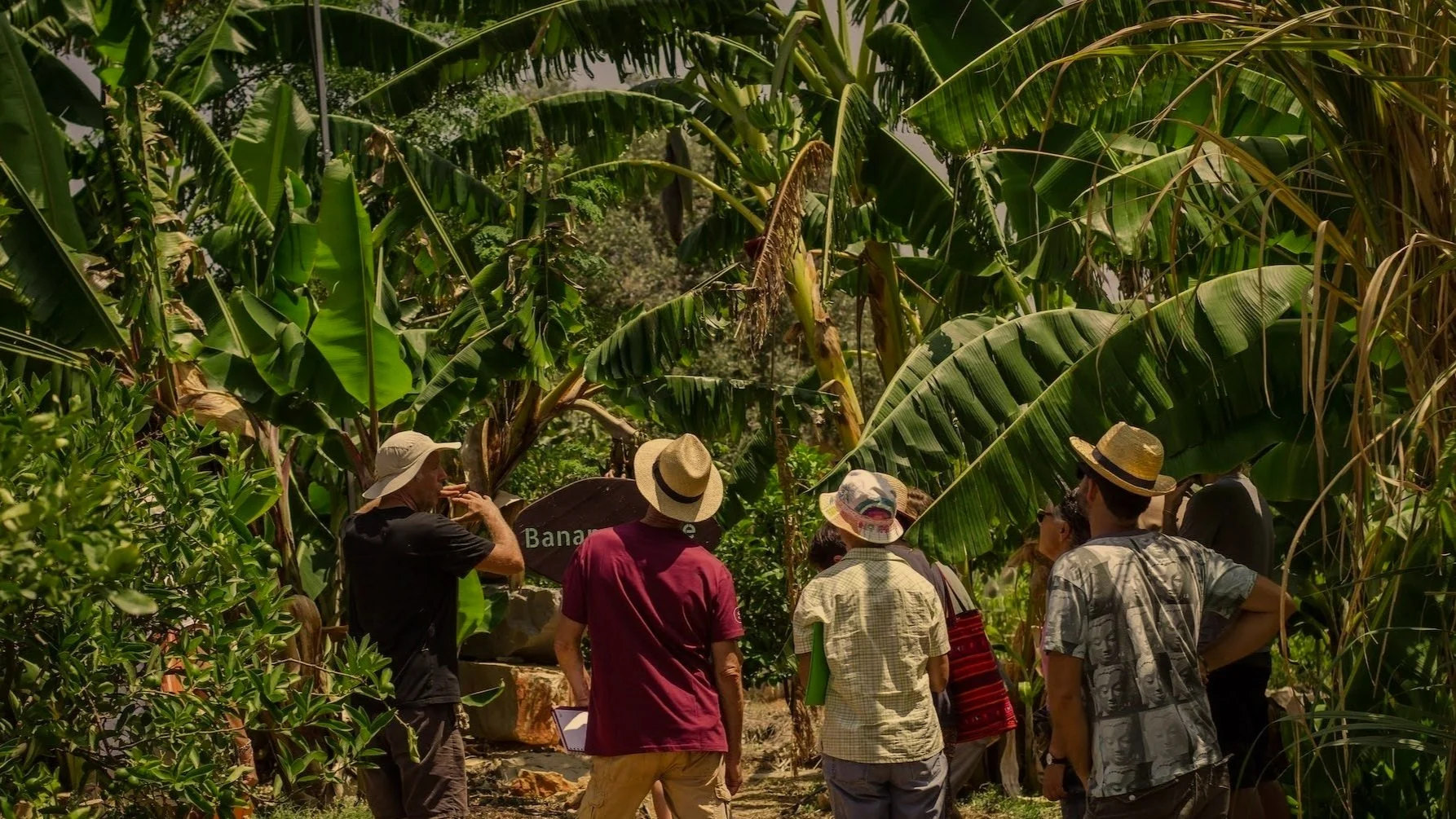 Orchard of Flavours | An edible Botanical Garden