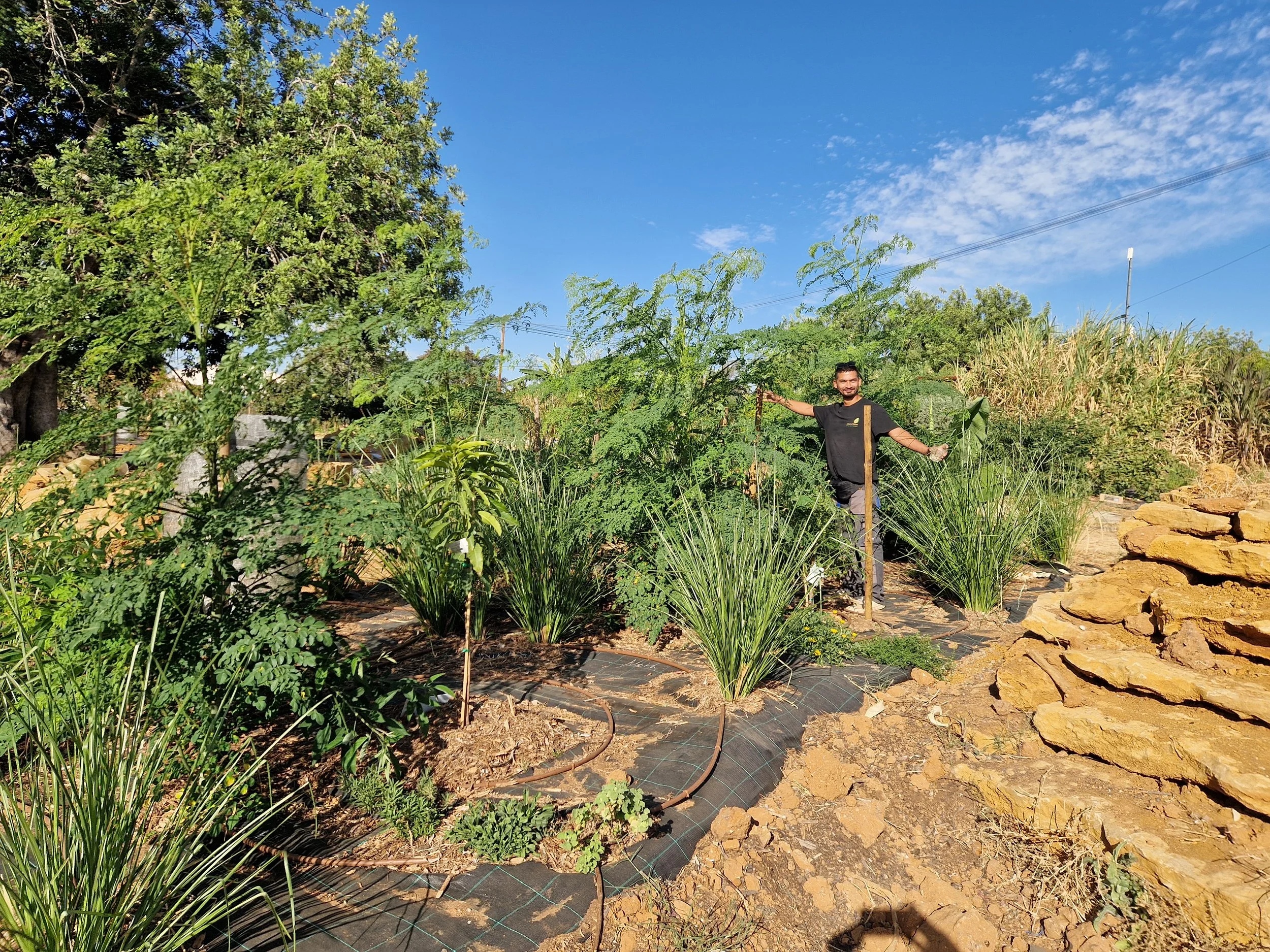 Workshop: Cocoon Food Forest | Orchard of Flavours