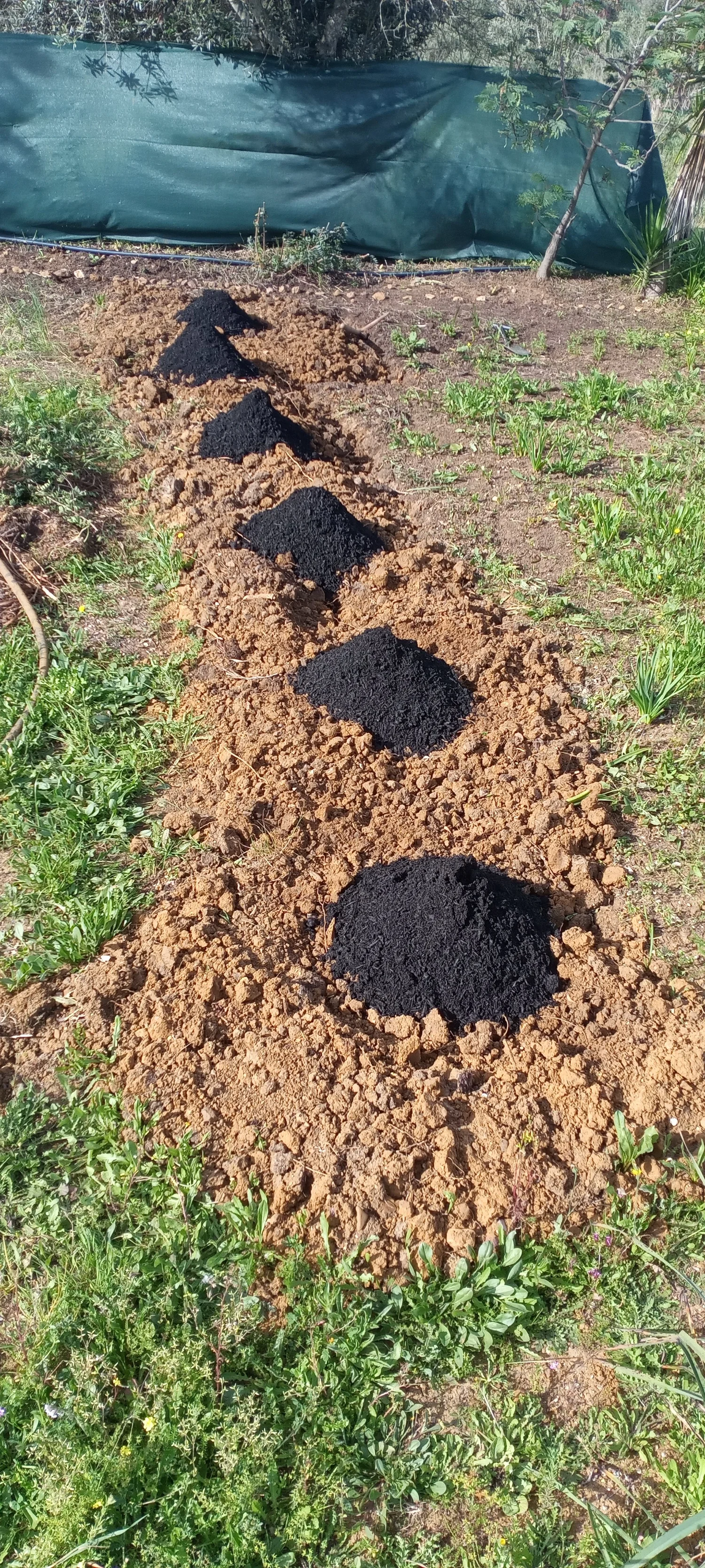 Workshop: Biochar | Orchard of Flavours