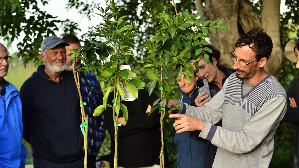Workshop: Food Forest & Island of Fertility | Orchard of Flavours