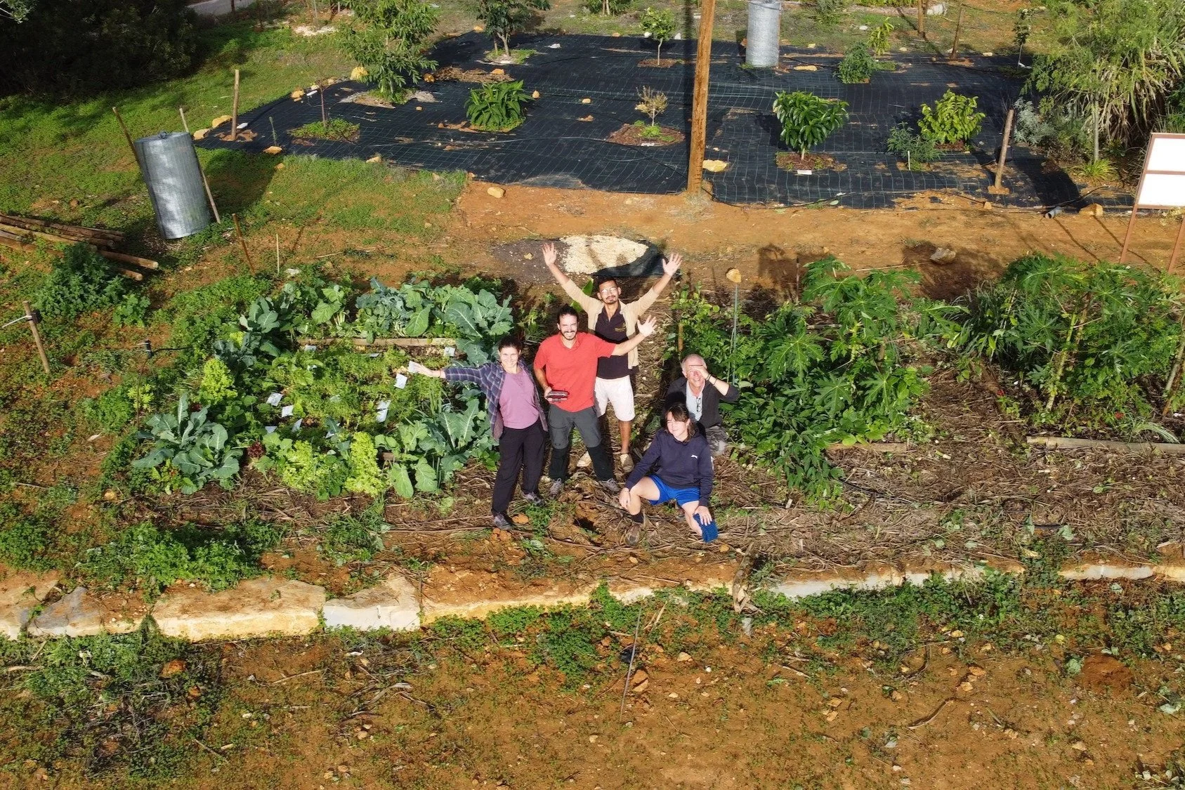 Our Miyawaki-inspired Food Forests | Orchard of Flavours