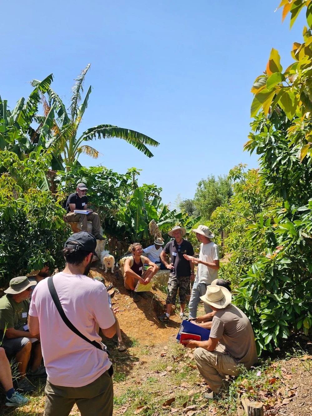 Workshop: Mini Food Forest | Orchard of Flavours