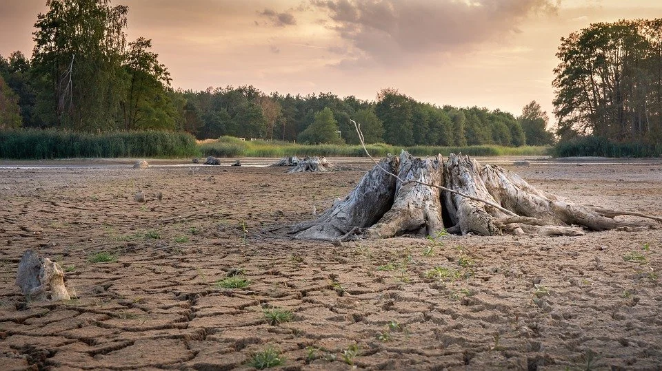 Drought Emergency Plan | Orchard of Flavours
