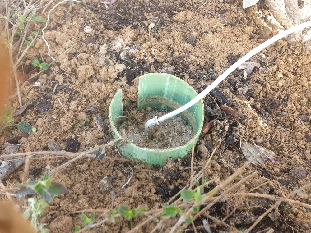 How-to: Deep irrigation for clay soils | Orchard of Flavours