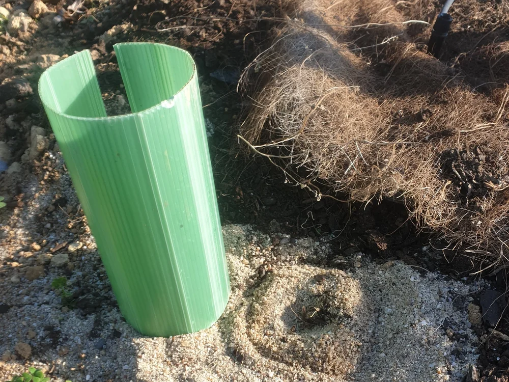 How-to: Deep irrigation for clay soils | Orchard of Flavours