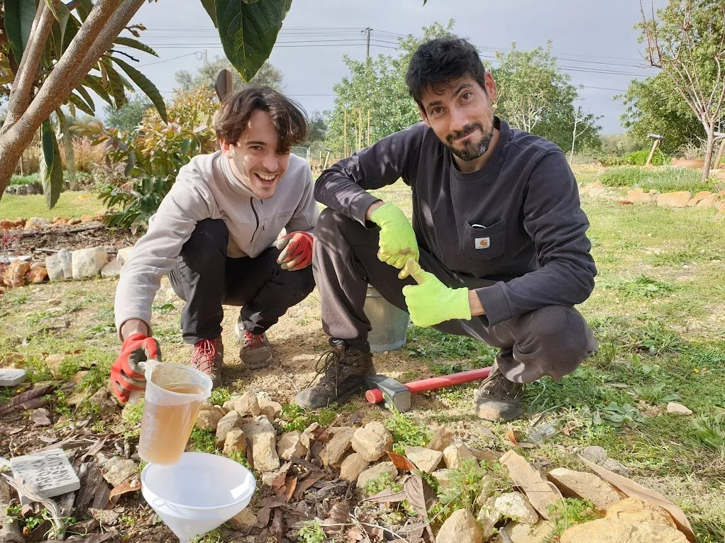 Biostimulants | Learn articles | Orchard of Flavours