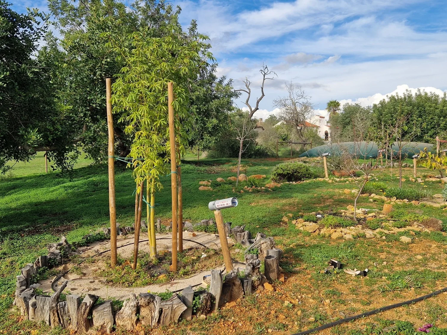 Botanical garden mission | Orchard of Flavours