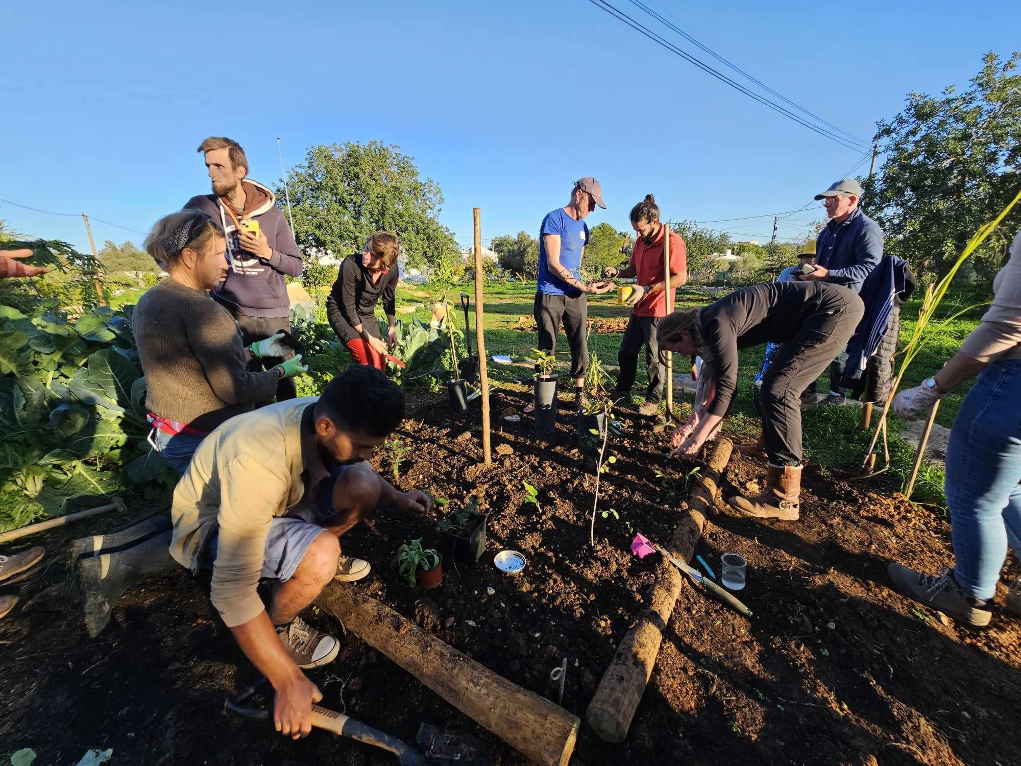 Workshop: Mini Food Forest | Orchard of Flavours