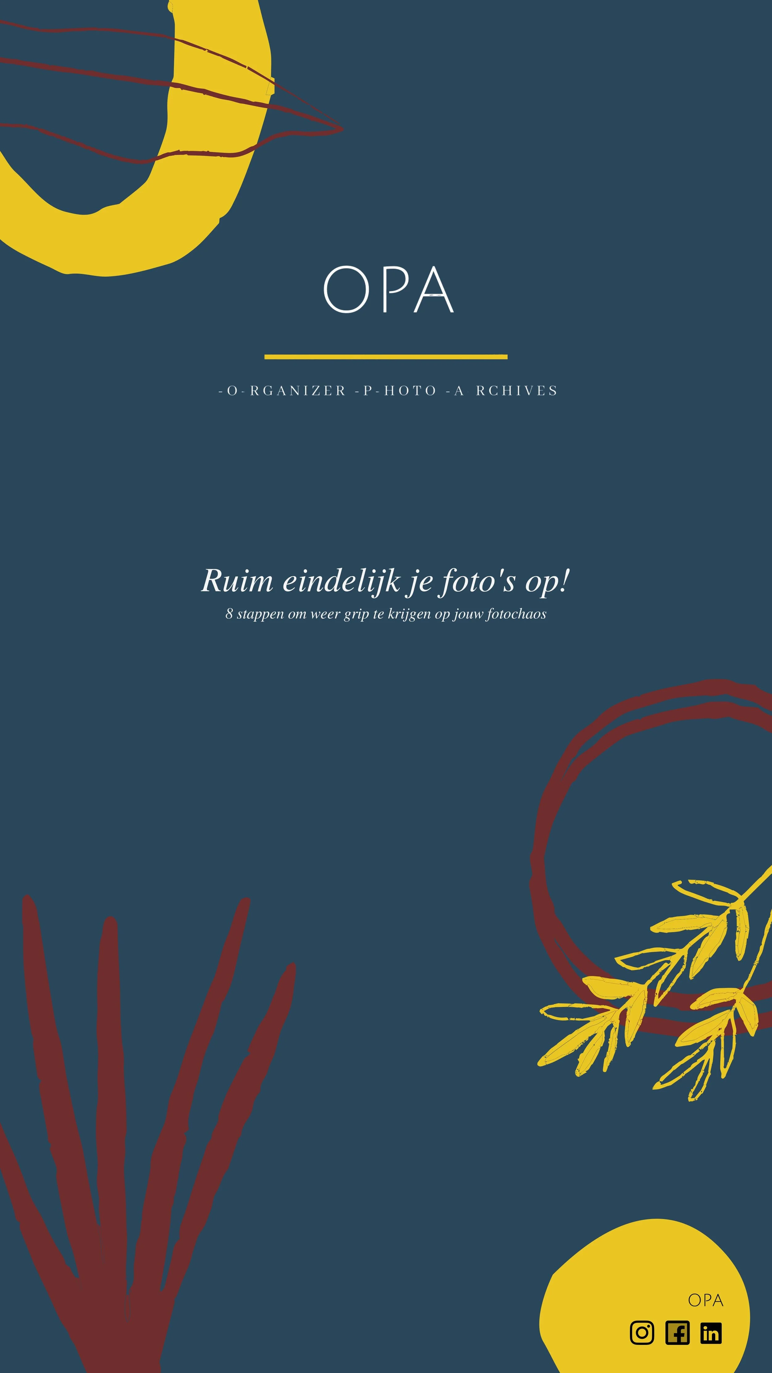 Freebie OPA Methode Download — OPA