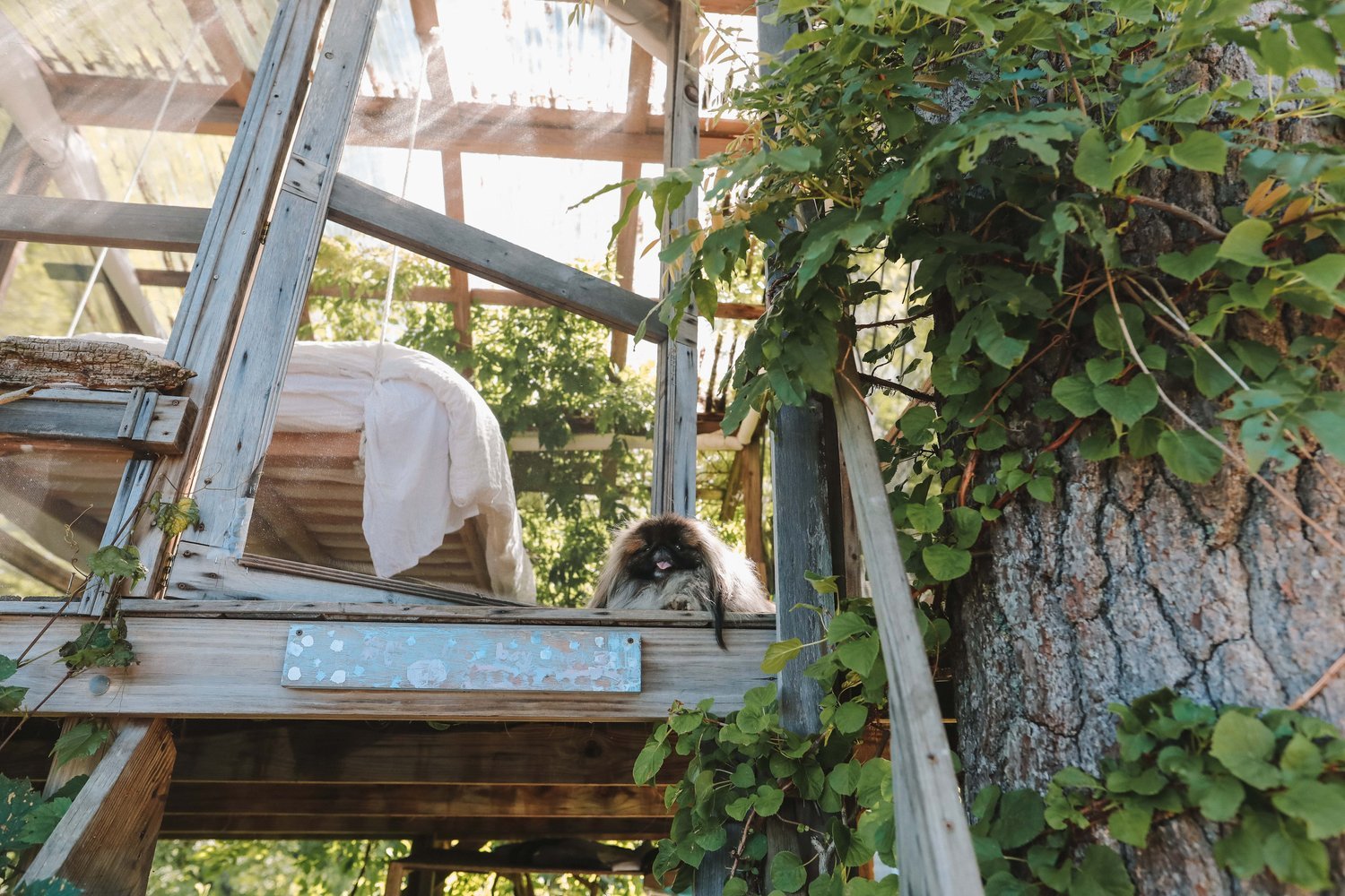 Lake Treehouse In the Berkshires — the weekday weekender