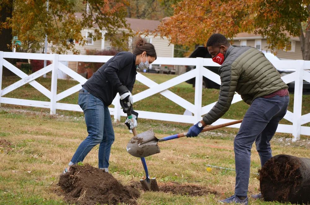 How to Plant a Potted Fruit Tree — The Giving Grove