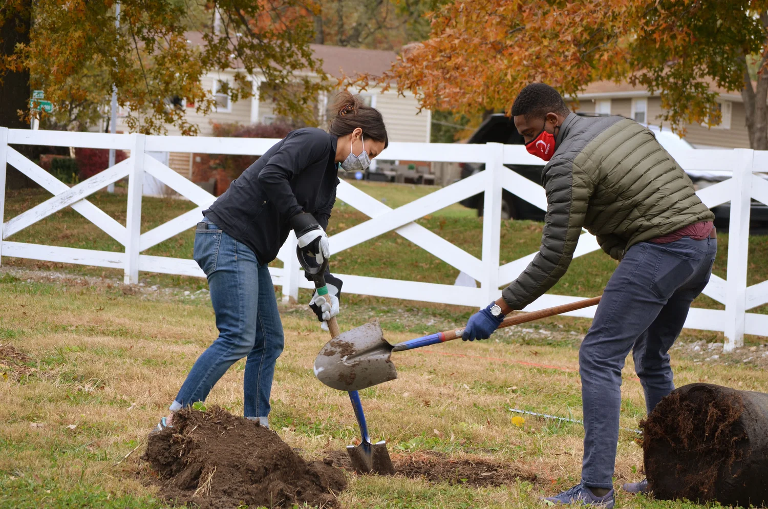 How to Plant a Potted Fruit Tree — The Giving Grove