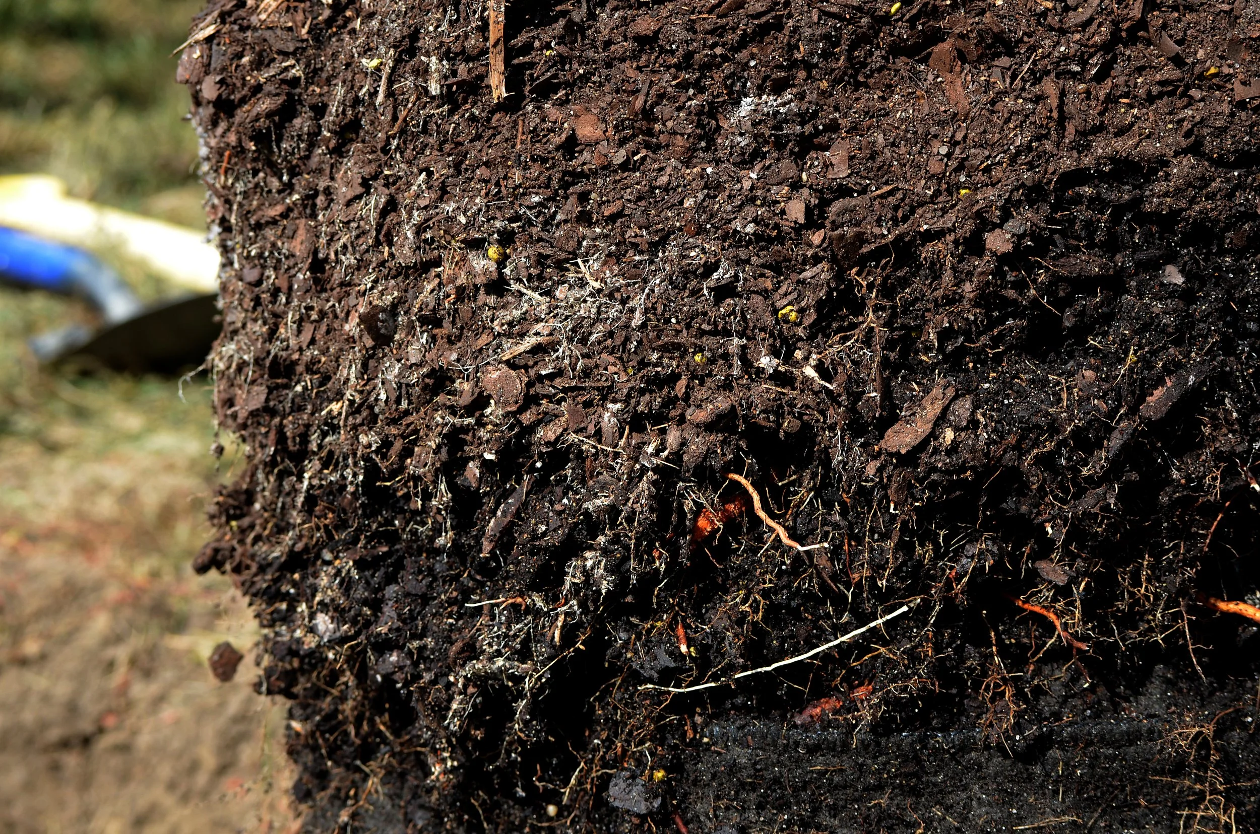 Fruit Tree Planting Check-List — The Giving Grove