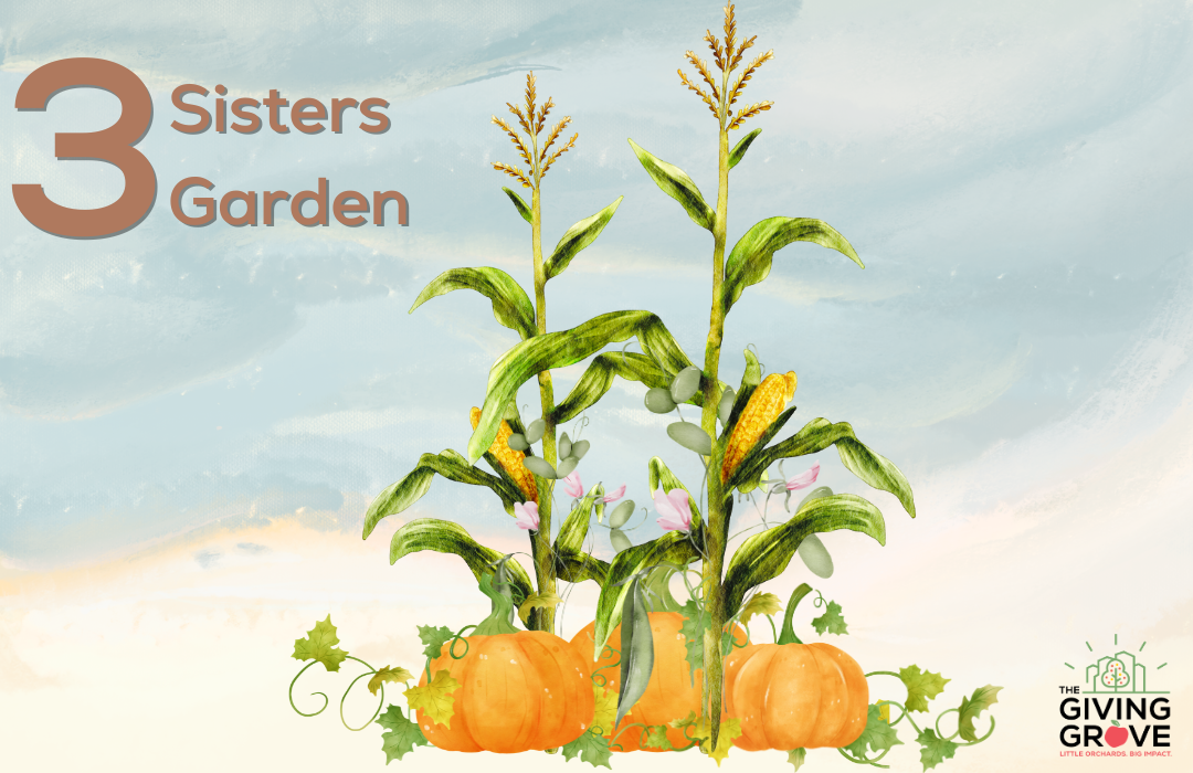 Unlocking the Potential of School Gardens — The Giving Grove