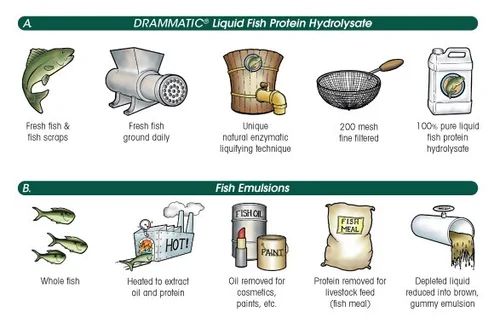 The Power of Fish Fertilizer in the Orchard — The Giving Grove