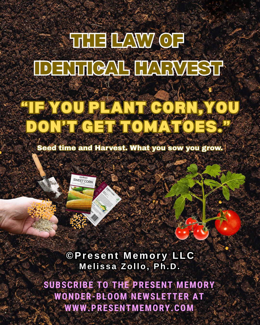 The Law of Identical Harvest: How Your Thoughts Shape Your Reality ...