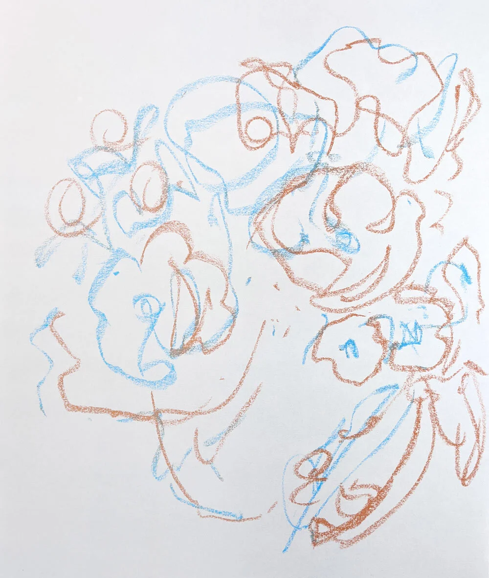 3 Drawing Exercises that are Actually Fun: Tips from Lynn Whipple ...