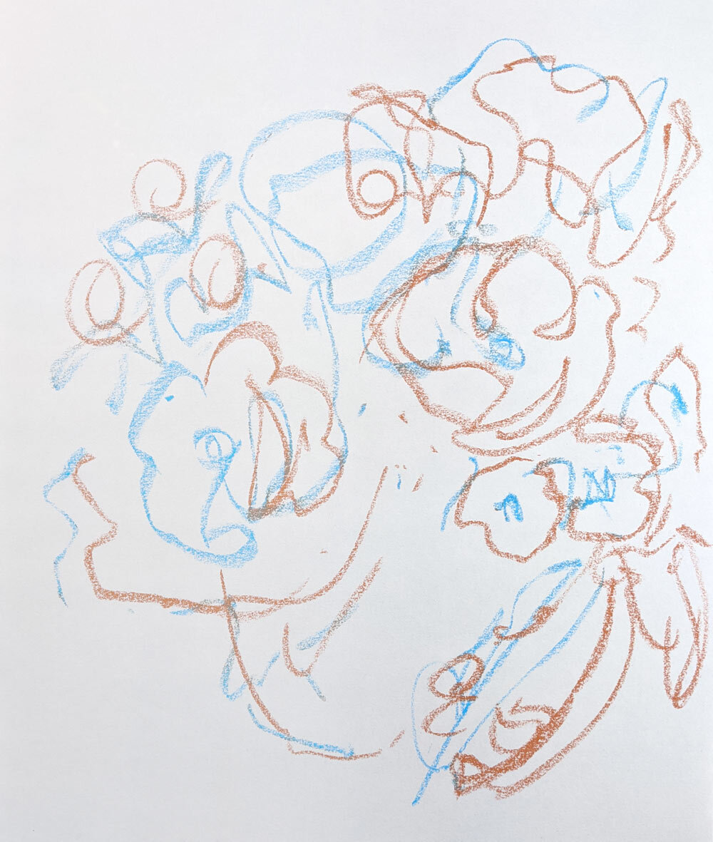 3 Drawing Exercises that are Actually Fun: Tips from Lynn Whipple ...