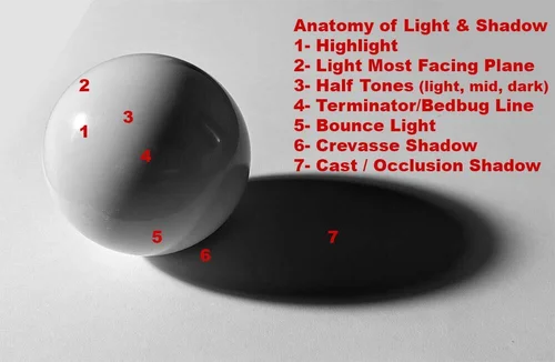 Understanding Light & Shadow Terminology — Learn to Paint Podcast