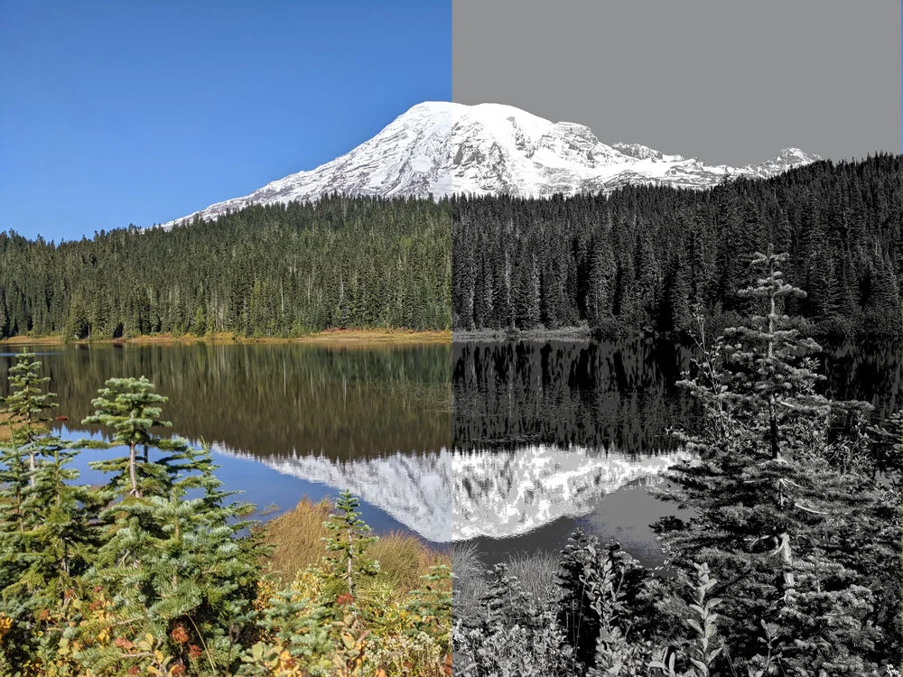 How to Understand Value and Why it Matters — Learn to Paint Podcast