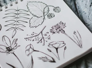 Inktober 2022: A Quick Guide To Help You Get Started — Learn to Paint ...